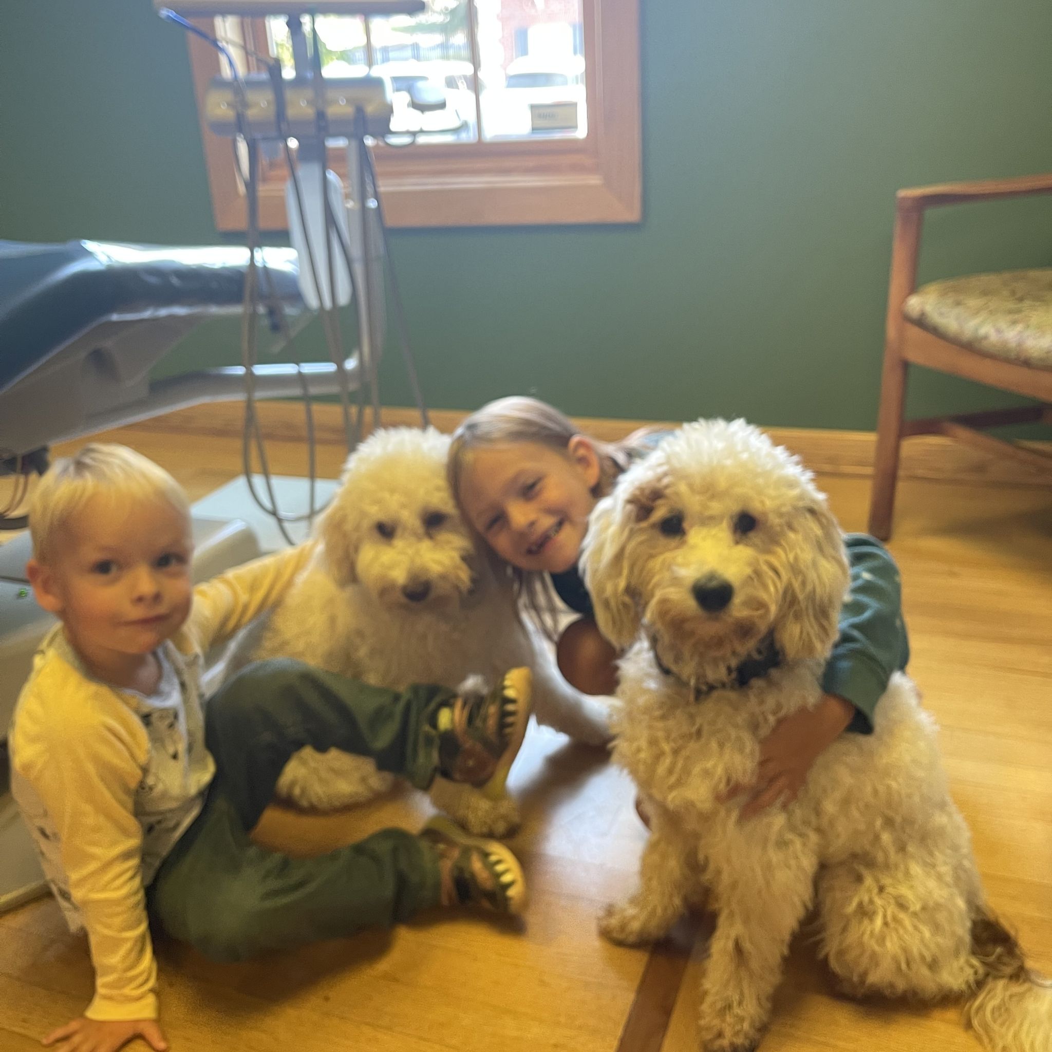 A Pediatric Dentist with Cuddly Office Dogs?