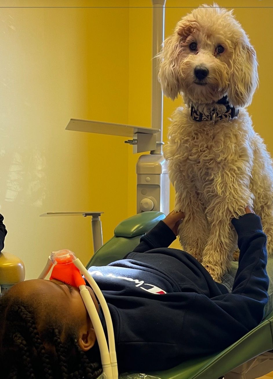 A Pediatric Dentist with Cuddly Office Dogs?